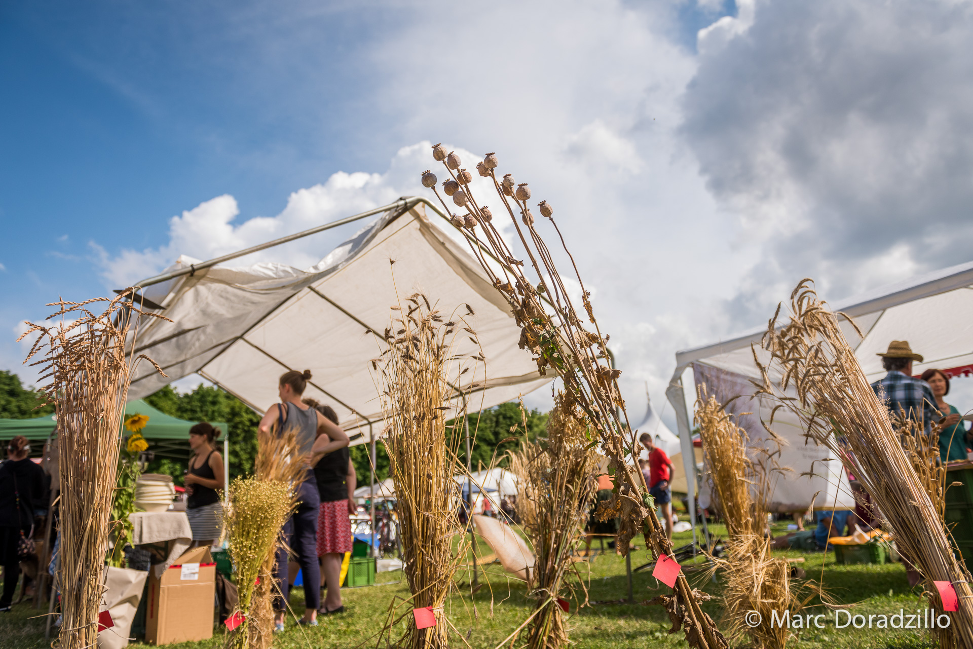 2024-überblick – Agrikulturfestival Freiburg